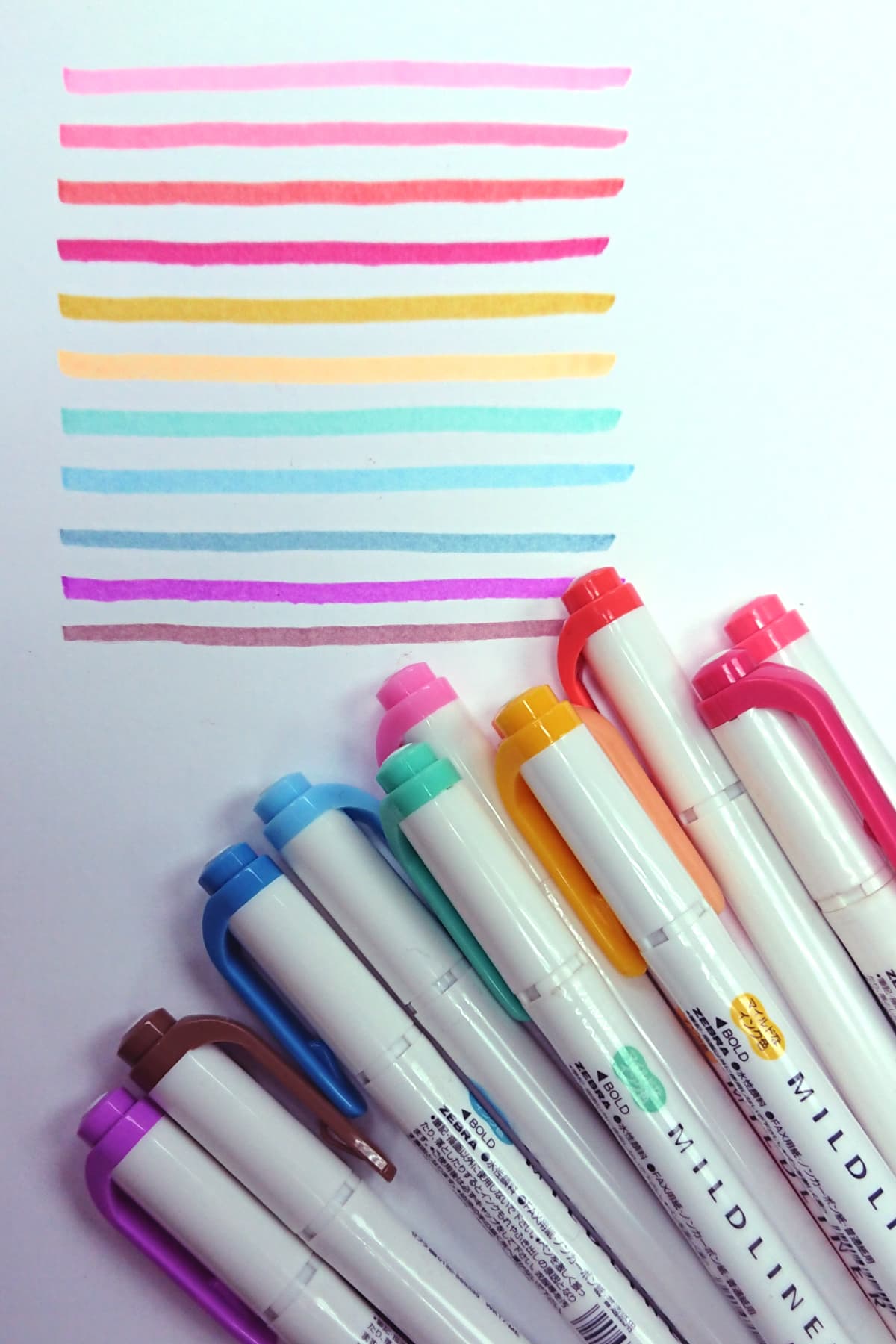 記錄大自然形態 : 手製標本畫工作坊 | JOLLYHUB