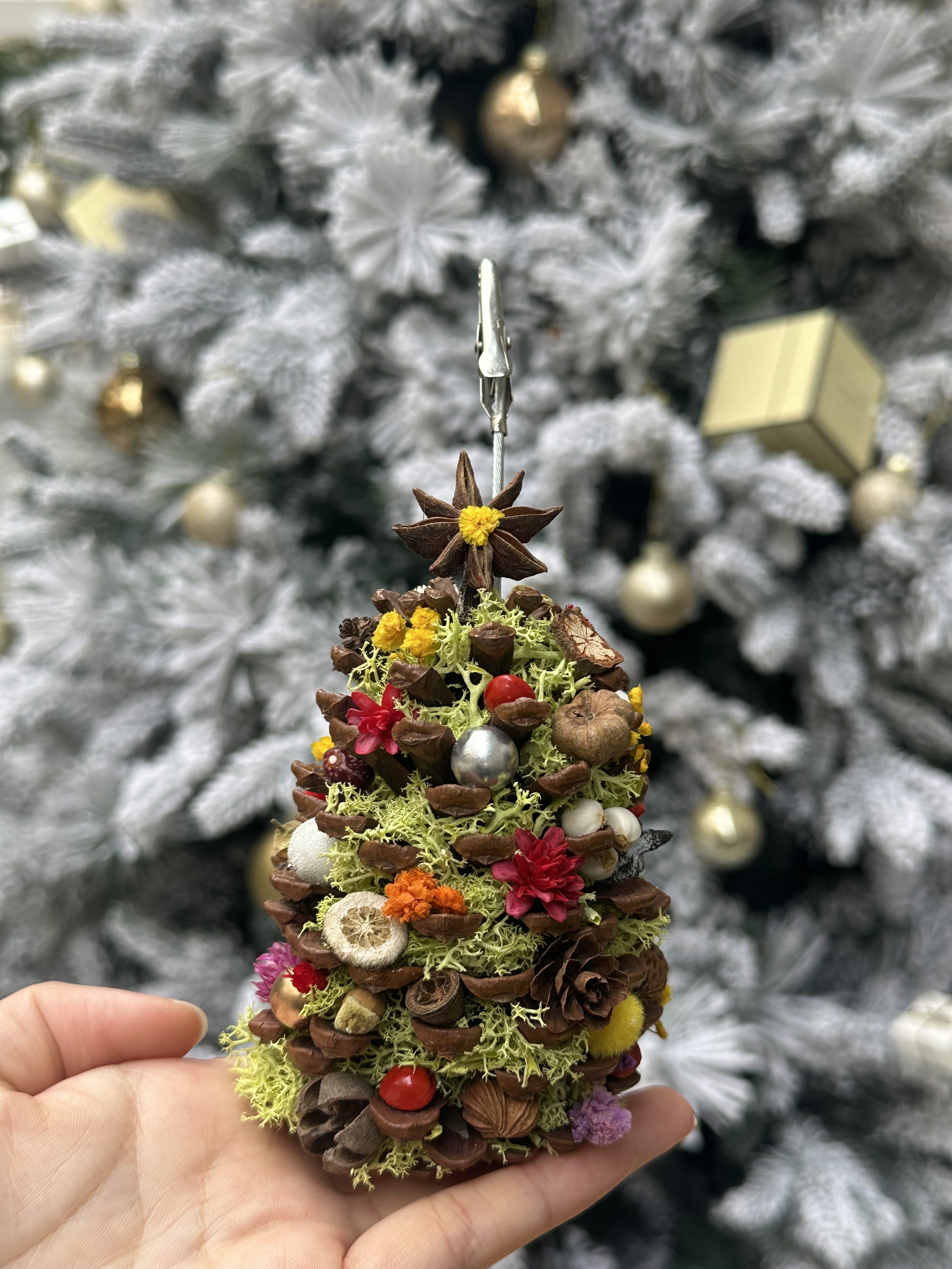 環保天然苔蘚松果聖誕樹/便條夾 | JOLLYHUB