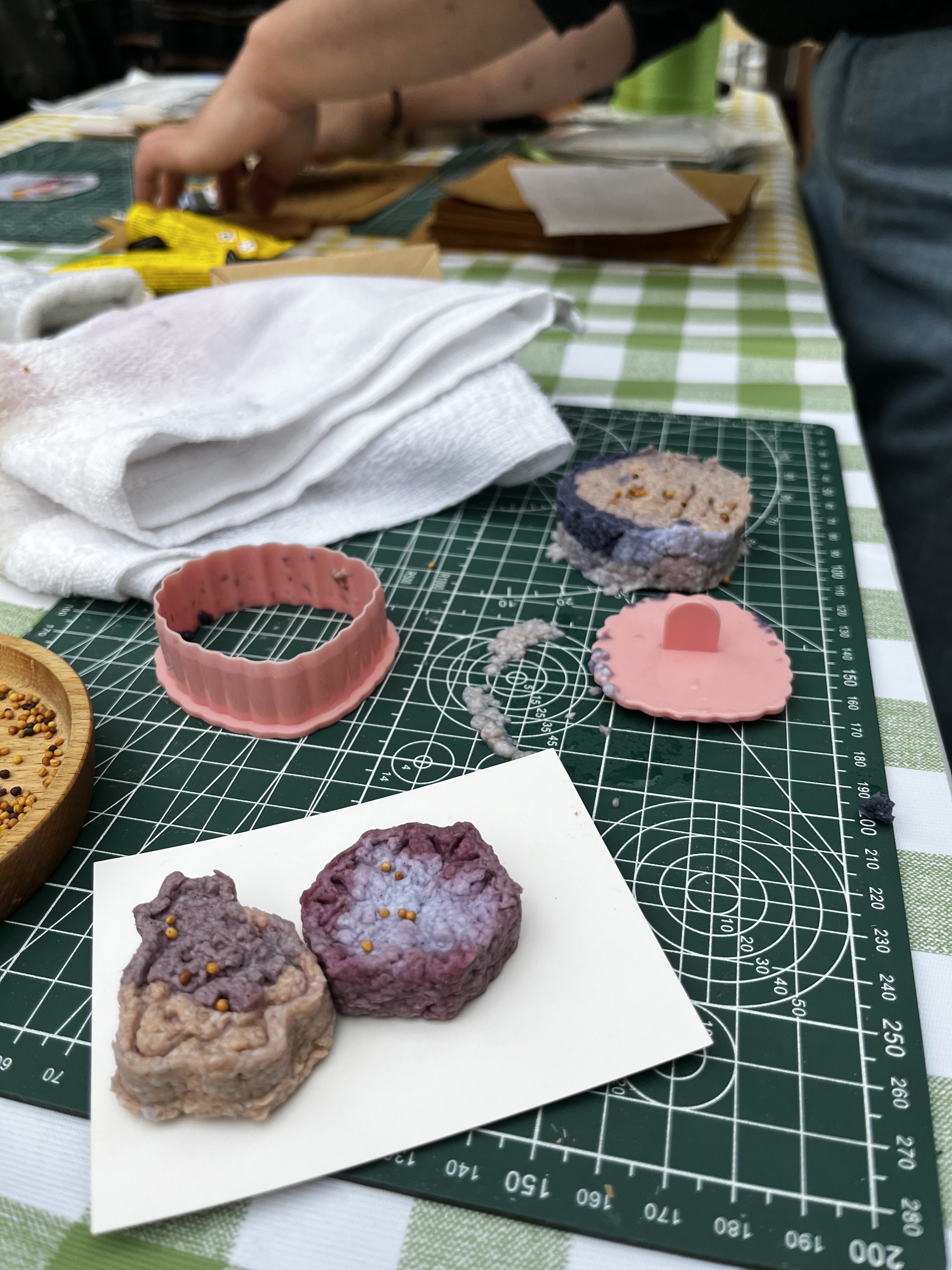 天然染色立體卡通「種子紙」製作 | JOLLYHUB